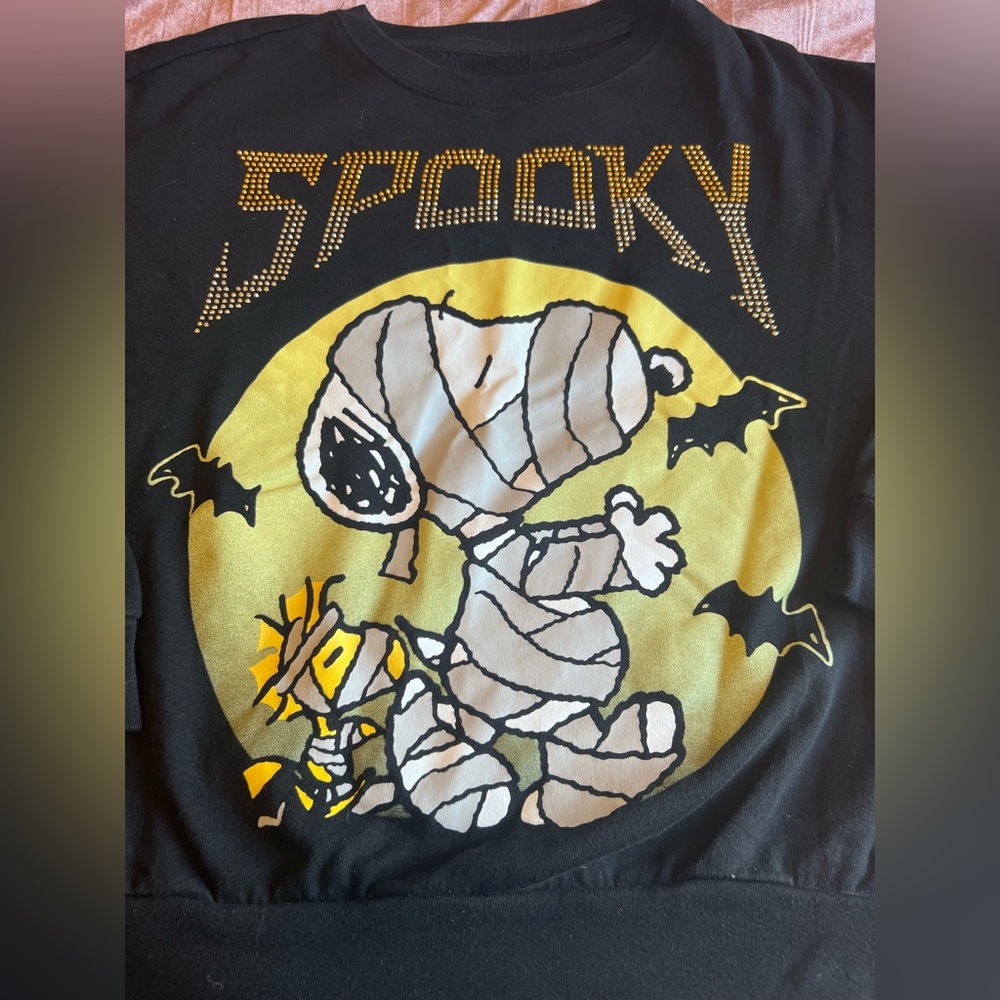 Women's Peanuts Spooky Snoopy Halloween Graphic Sweat… - Gem
